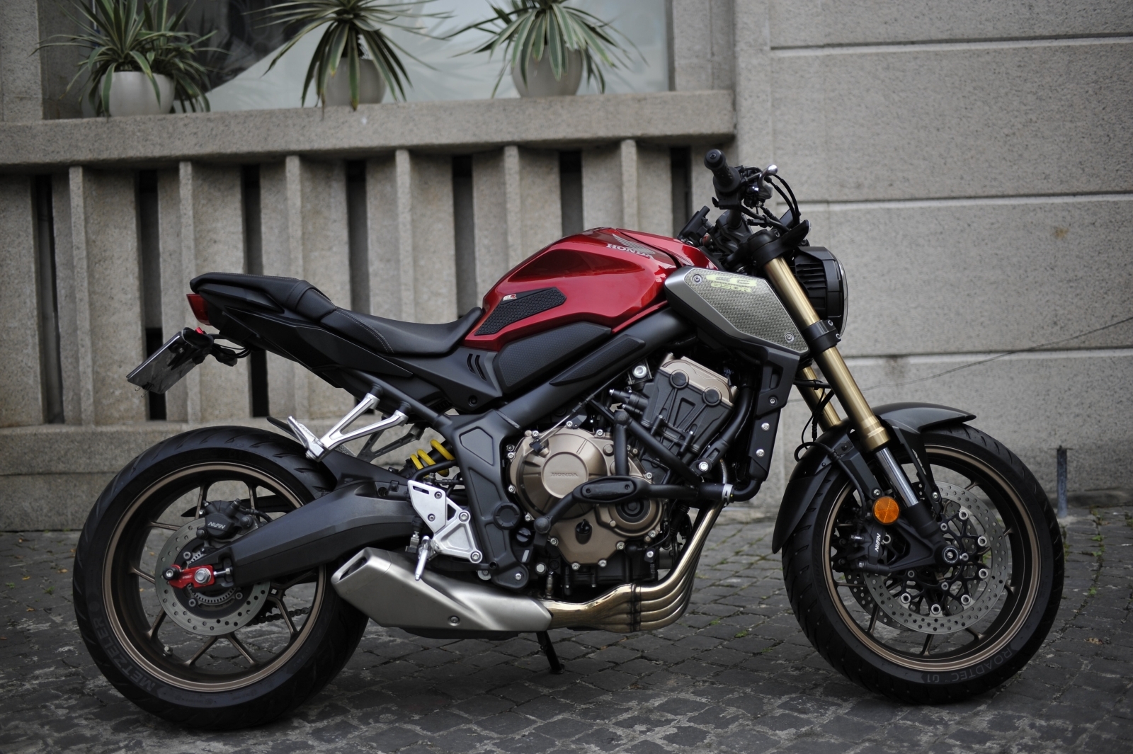 828 . Honda CB650R Model 2019