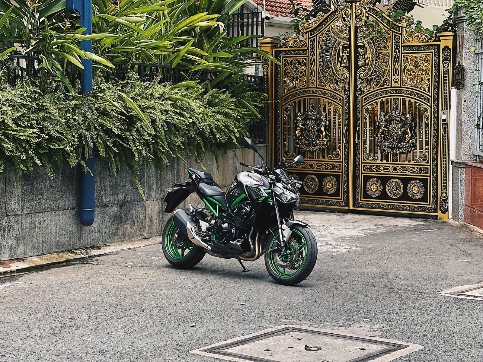 725 . Kawasaki Z900 Model 2023